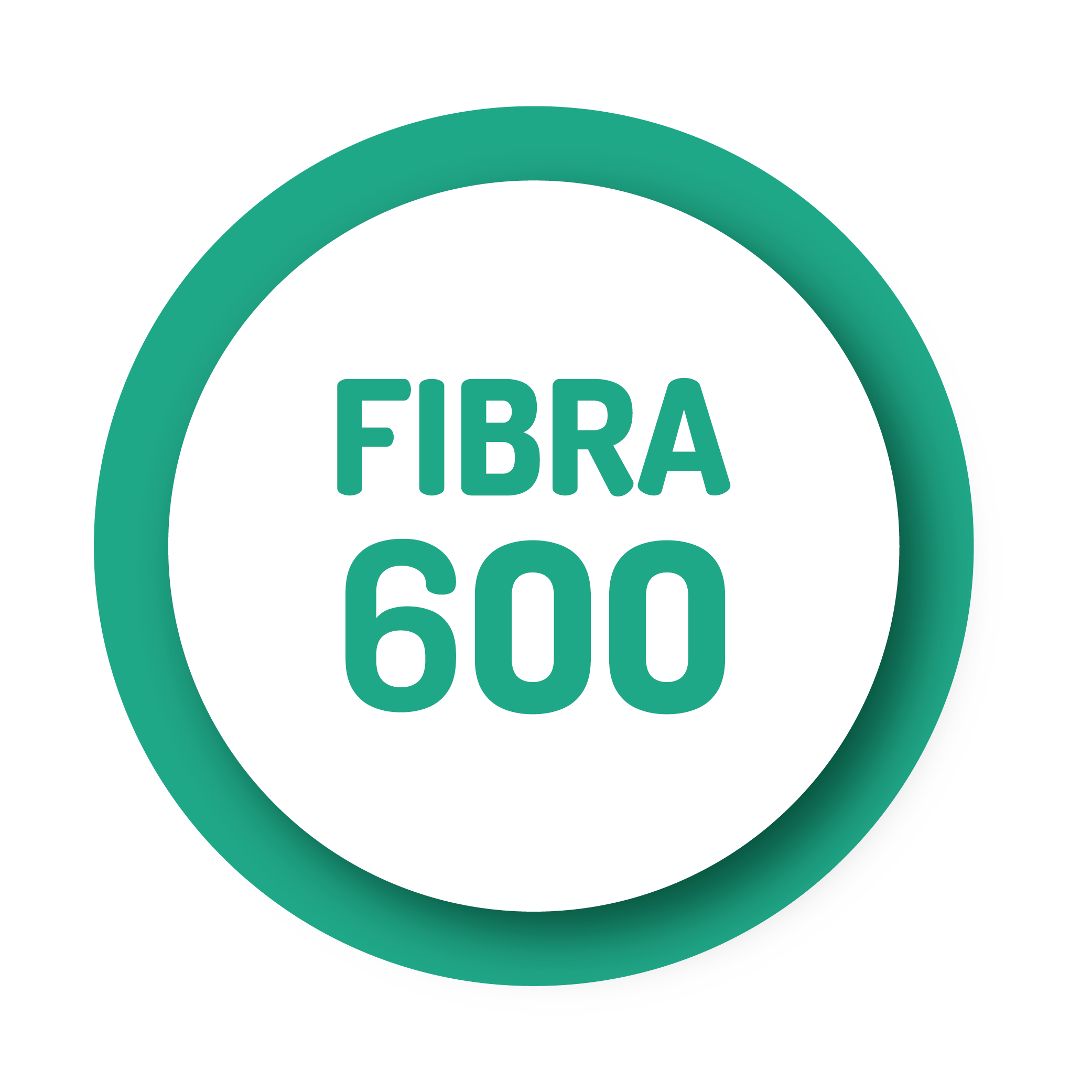 Fibra 600 – Punt d'Accés