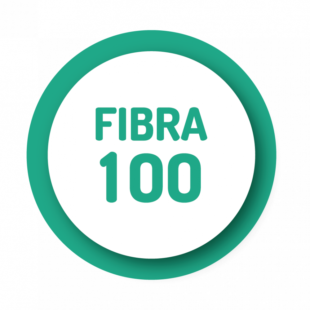 Fibra 100 – Punt d'Accés